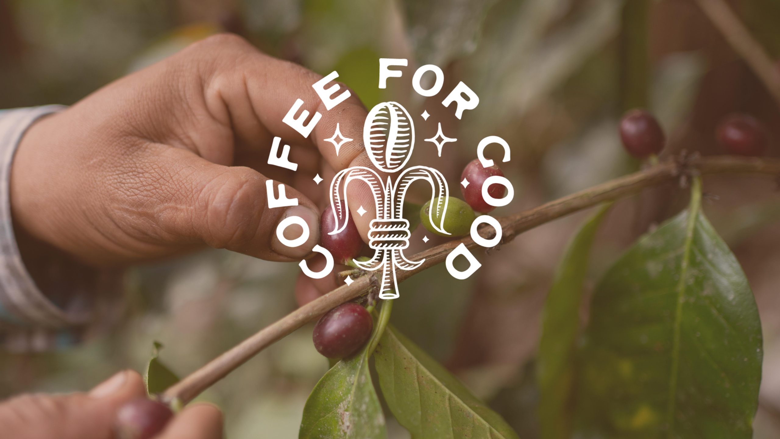 Kahlúa Iced Coffee Drink Recipe – Kahlúa